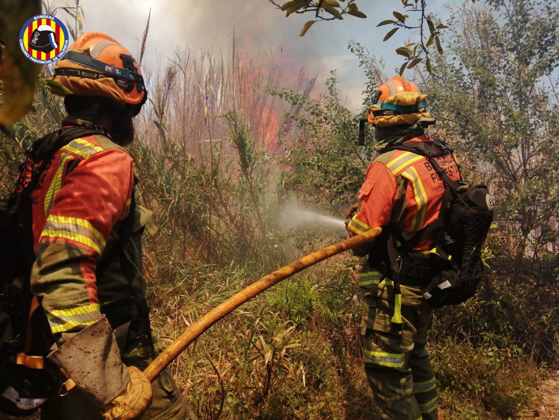 Mitjans aeris treballen en un incendi forestal a Sagunt que obliga a ... Mitjans aeris treballen en un incendi forestal a Sagunt que obliga a ...